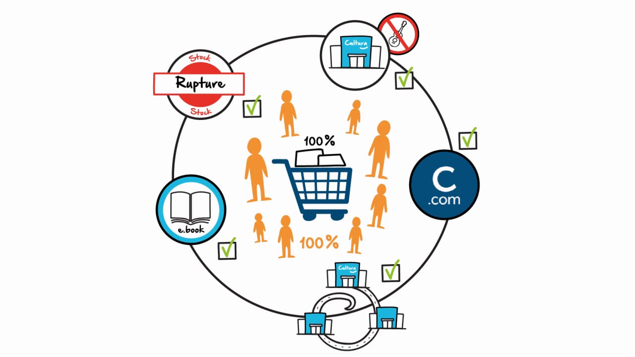 Réalisation de Vidéo dessinée pour CULTURA : La commande clients web ...