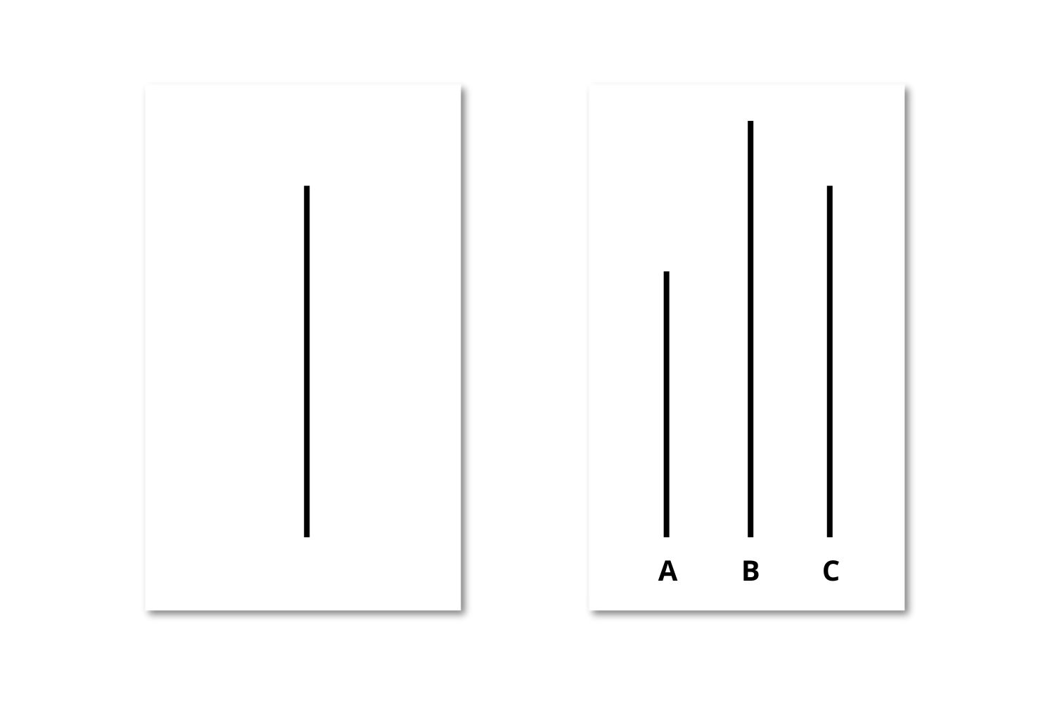 L'Expérience de Asch : Une belle illustration du biais de conformisme ...